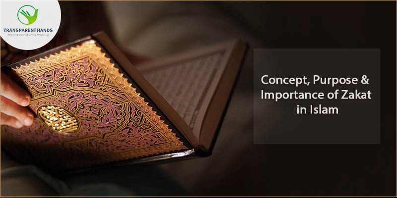 Purpose and Importance of Zakat in Islam | Zakat in Islam