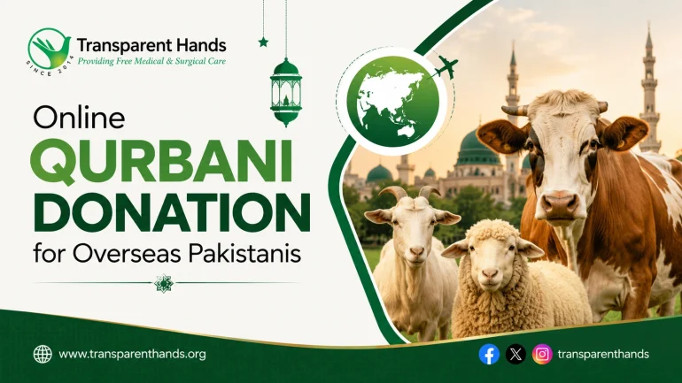 Online Qurbani Donation for Overseas Pakistanis - Transparent Hands